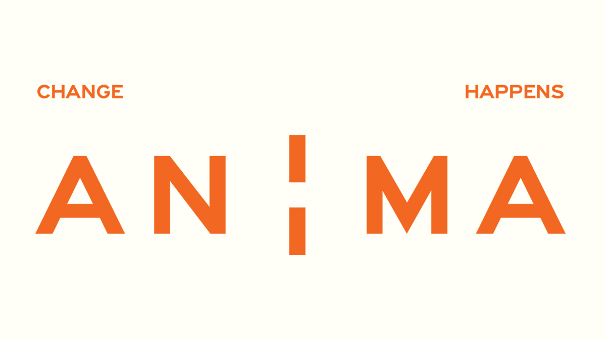 Merging Data Analytics with Communication - This is ANIMA - Change Happens